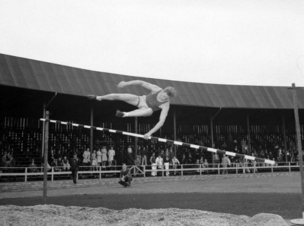18 Lester steers Stock Pictures, Editorial Images and Stock Photos ...