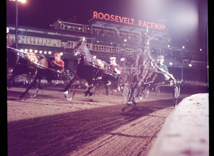 Men Participating Harness Racing Roosevelt Raceway Editorial Stock ...