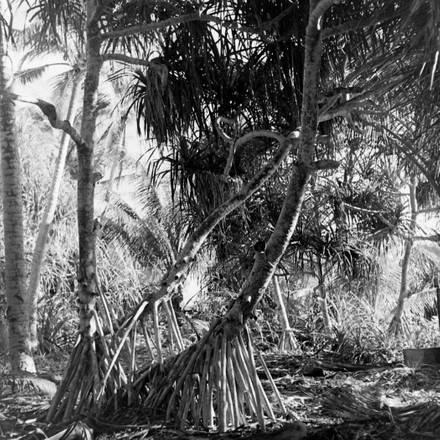 Man Holding Camera Ulithi Atoll Circa Editorial Stock Photo - Stock ...