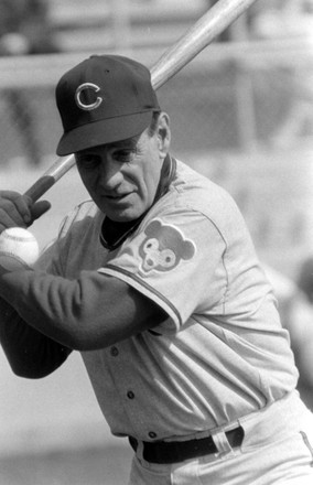 Chicago Cubs Manager Leo Durocher Playing Editorial Stock Photo - Stock ...