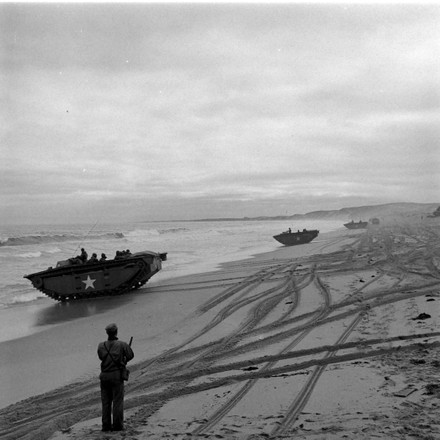 Soldiers Riding Amphibious Tractors Called Alligator Editorial Stock ...