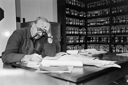 Scientist John Burdon Sanderson Haldane Sitting Editorial Stock Photo ...
