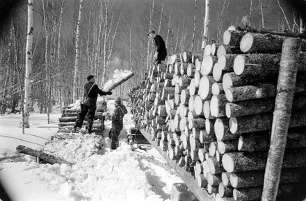 Lumbermen Arranging Logs Lumber Camp During Editorial Stock Photo ...