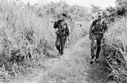 Fort Sherman Jungle Warfare Training Center Editorial Stock Photo ...