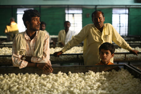 Family Cocoon Farmers Wait Auction Their Editorial Stock Photo - Stock ...