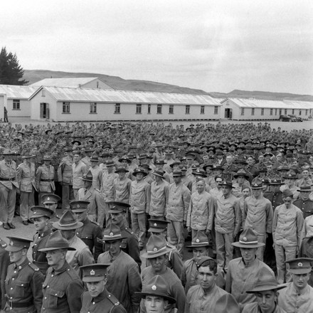 Herd Sheep Inside Barn During World - Foto de stock de contenido editorial: imagen de stock ...
