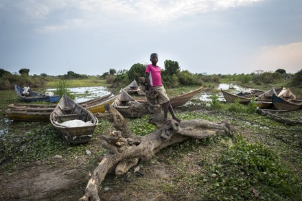 District Buliisa Located On Shores Lake Editorial Stock Photo - Stock ...