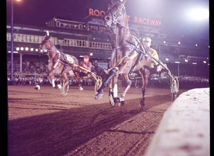 Men Participating Harness Racing Roosevelt Raceway Editorial Stock ...