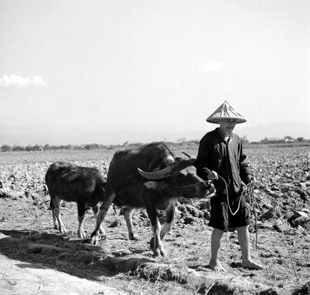 Republic Of Formosa, Taiwan Stock Pictures, Editorial Images and Stock ...