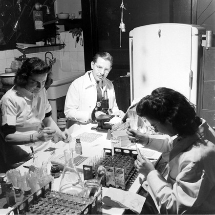 Scientist Alexander Solomon Wiener Examining Women Editorial Stock ...