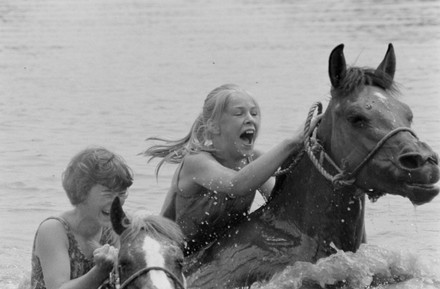 People Riding Horses Full Cry Farm Editorial Stock Photo - Stock Image ...
