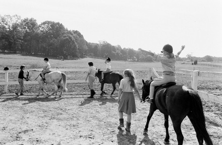 Children Learning Ride Horses Full Cry Editorial Stock Photo - Stock ...