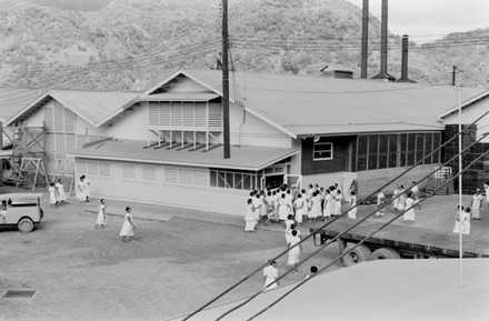 Exterior View Building On Samoan Islands Editorial Stock Photo - Stock ...