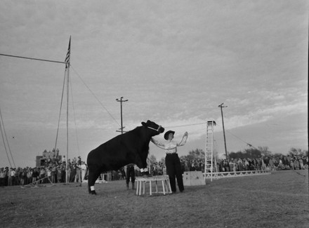 Circus, Hugo, Oklahoma, USA Stock Pictures, Editorial Images and Stock ...