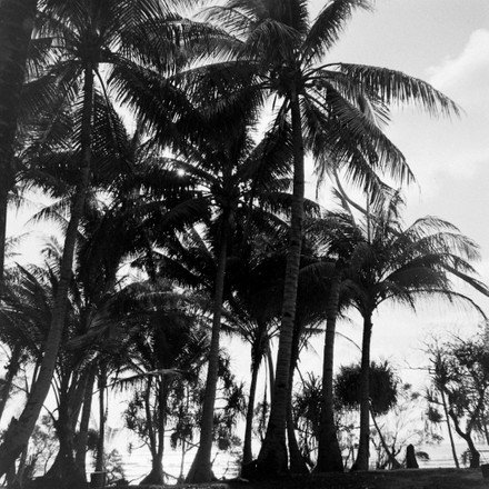Trees On Shore Fassarie Islet Ulithi Editorial Stock Photo - Stock ...