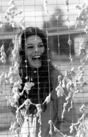 Bobbie Lee Gentry Posing Behind Fence Editorial Stock Photo - Stock ...