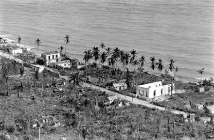 Child Carrying Logs After Hurricane Inez Editorial Stock Photo - Stock ...