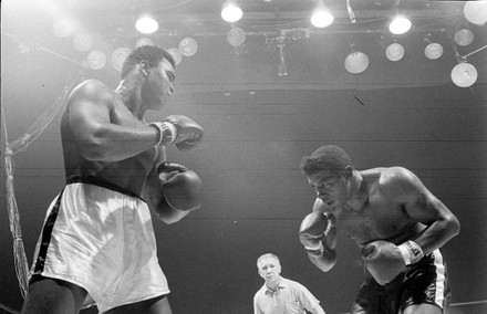 5 Boxer cassius marcellus clay junior Stock Pictures, Editorial Images ...