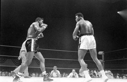 5 Boxer cassius marcellus clay junior Stock Pictures, Editorial Images ...