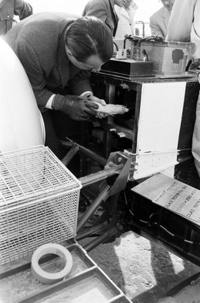 Harold Von Beckh Checking Rat Test Editorial Stock Photo - Stock Image ...