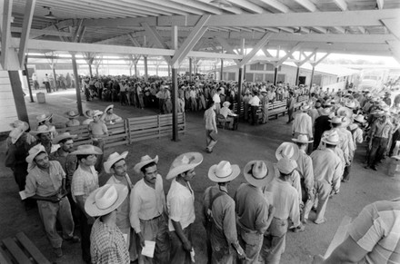 750 1950s farmers Stock Pictures, Editorial Images and Stock Photos ...
