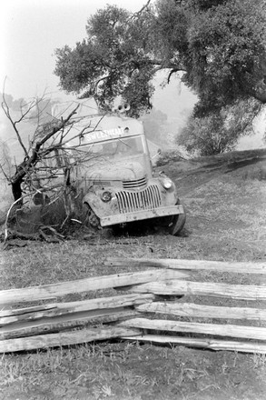 Vehicle Parking Near Tree Movie Wayward Editorial Stock Photo - Stock ...