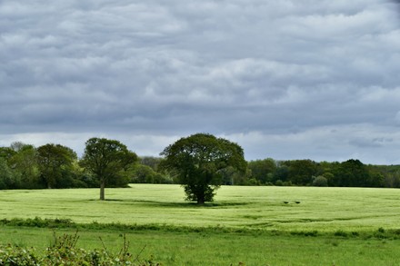 Seasonal weather, Hurst, Berkshire, UK - 25 May 2021 Stock Pictures ...
