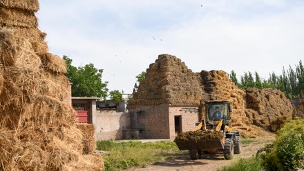 Farmer Driving Excavator Transports Fodder Farm Editorial Stock Photo ...