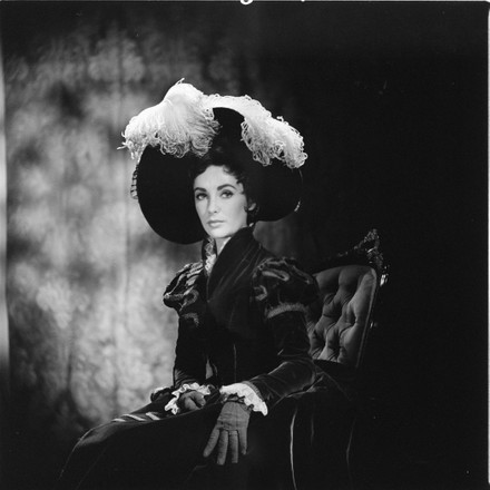 Movie Star Elizabeth Taylor Sitting On Editorial Stock Photo - Stock ...