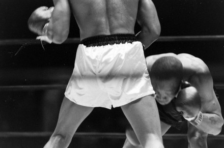 Professional Boxer Frankie Narvaez R Fighting Editorial Stock Photo ...