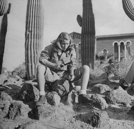 25 1940s fads Stock Pictures, Editorial Images and Stock Photos ...