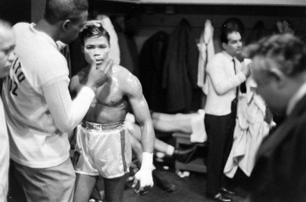Professional Boxer Frankie Narvaez C Preparing Editorial Stock Photo ...