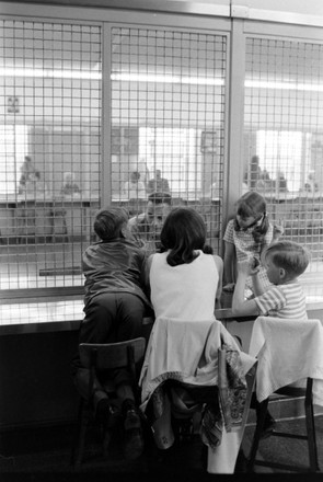 Prisoner Meeting His Family During Visit Editorial Stock Photo - Stock ...