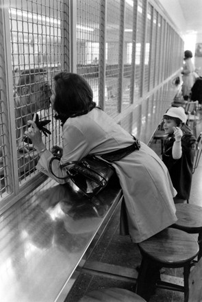 Inmate Kissing His Wife Soledad State Editorial Stock Photo - Stock ...