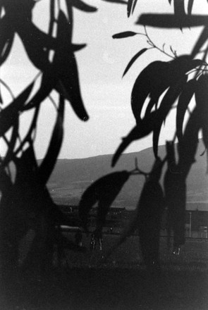 Exterior View Soledad State Prison Soledad Editorial Stock Photo ...