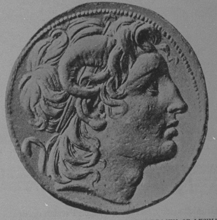 15 Lysimachus Stock Pictures, Editorial Images and Stock Photos ...
