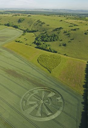 40 Corn circles Stock Pictures, Editorial Images and Stock Photos ...