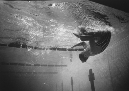 U S Swimmer Debbie Meyer Midst Editorial Stock Photo - Stock Image ...