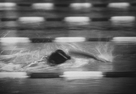 U S Swimmer Debbie Meyer Midst Editorial Stock Photo - Stock Image ...