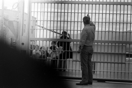 Prison Visitors, Soledad, California, USA Stock Pictures, Editorial ...
