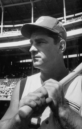 Cincinnati Redlegs Player Ted Kluszewski During Editorial Stock Photo ...