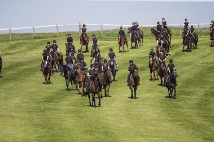 Races Horses Park House Stables Kingsclere Editorial Stock Photo ...