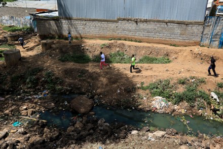 Kenya World Environment Day 2021, Riruta - 03 Jun 2021 Stock Pictures ...