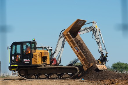 Hs2 Have Felled Large Part Ancient Editorial Stock Photo - Stock Image ...