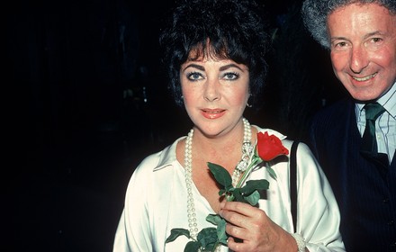 Actress Elizabeth Taylor Holding Rose W Editorial Stock Photo - Stock ...