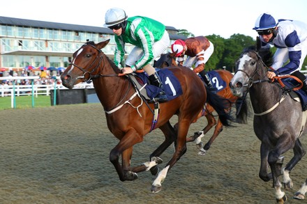 Riknnah Centre Ridden By Mark Crehan Editorial Stock Photo - Stock ...
