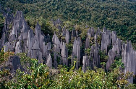 Pinnacles Razor Sharp Limestone Spikes On Editorial Stock Photo - Stock ...