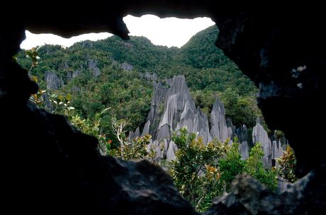 Pinnacles Razor Sharp Limestone Spikes On Editorial Stock Photo - Stock ...
