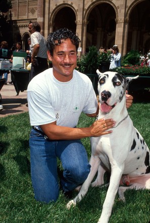 Gymnastturnedactor Greg Louganis His Dog Freeway Foto de stock de ...