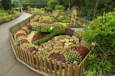 32 Plant Topiary Foot Snake Snakes Editorial Stock Photo - Stock Image ...